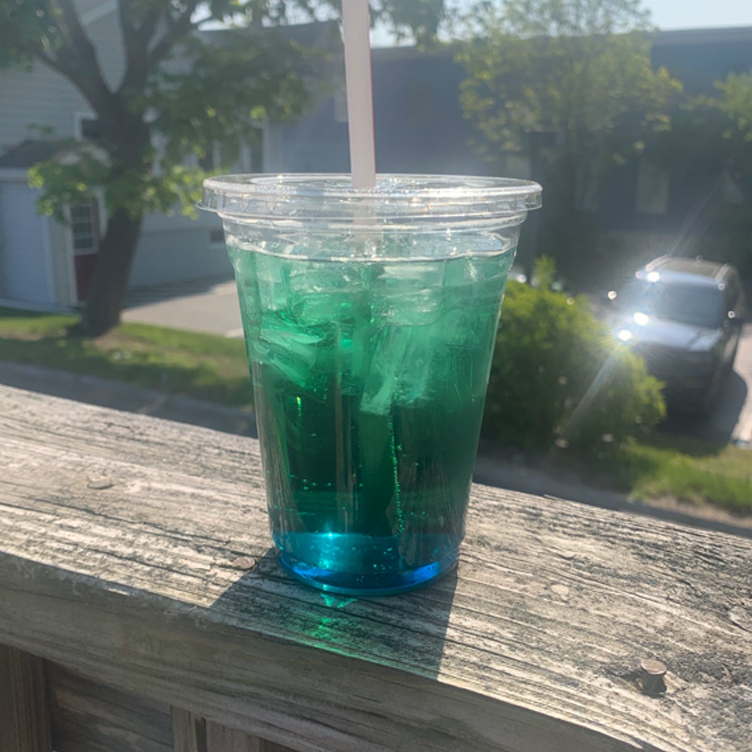 Panther Energy Drink | Elizabeth's Bagels